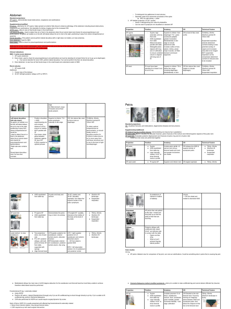 Trunk Projections New | PDF | Hip | Pelvis