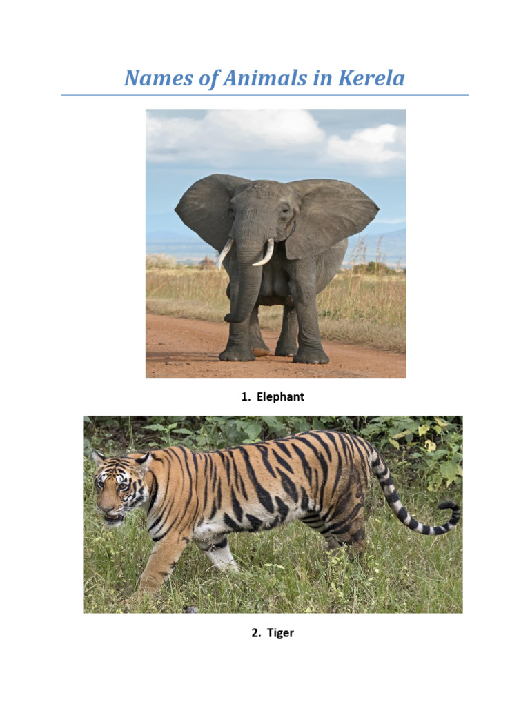Animal Names in Kerala | PDF | Science & Mathematics
