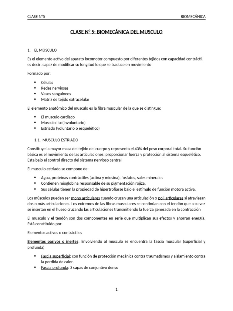 Biomecánica del Músculo: Estructura y Función | PDF | Músculo ...
