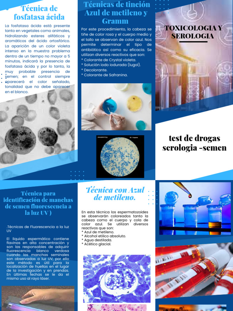 Farh Ev3.1 QF | PDF | Ciencia y matemáticas