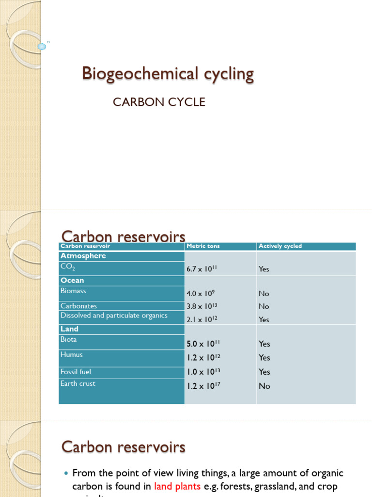 Carbon Cycle | PDF | Carbon Cycle | Soil