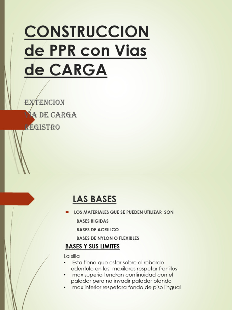 Construccion de La PPR | PDF | Negocios | Hogar, jardinería y bricolaje