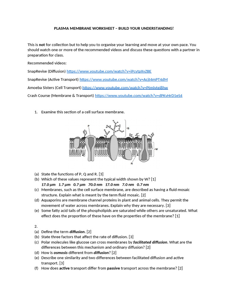 Plasma Membrane Worksheet | PDF | Cell Membrane | Membrane Biology