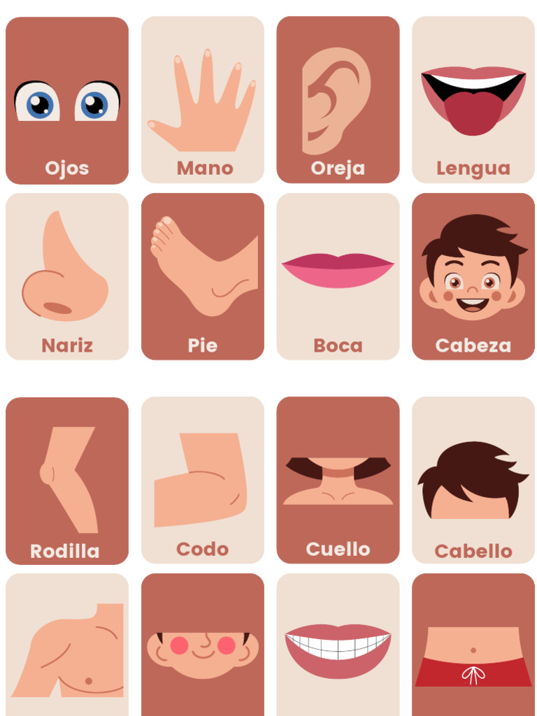 Partes del Cuerpo Humano | PDF | Crecimiento personal y profesional ...