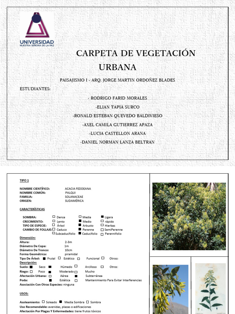 Fichas de Vegetación | PDF | Arboles | Riego