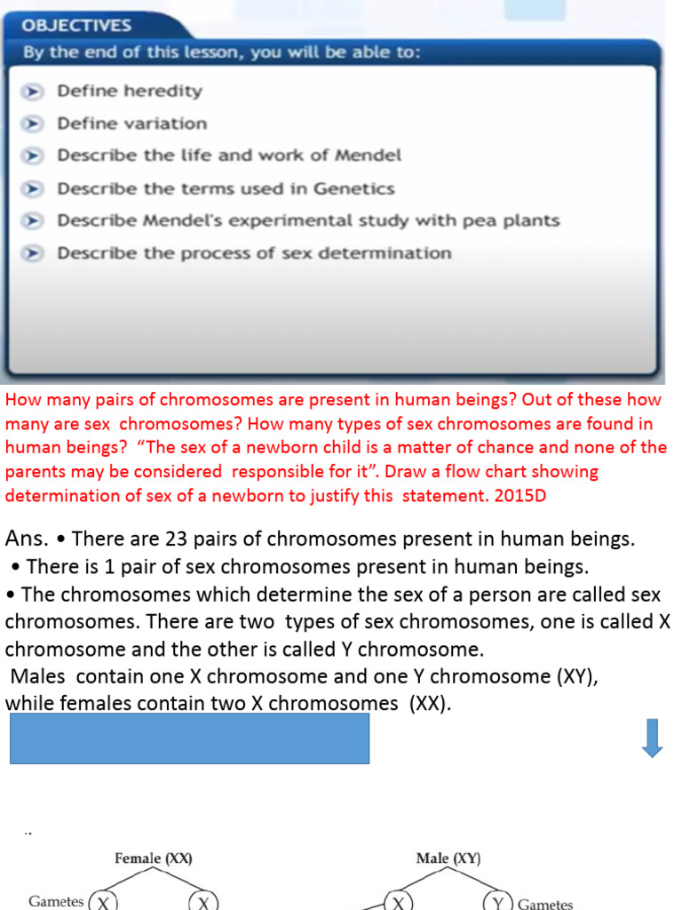 Heredity 1pptx Pdf Sex Genotype 7456
