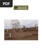 Overview of Orange Farm Settlement Issues | PDF | Johannesburg