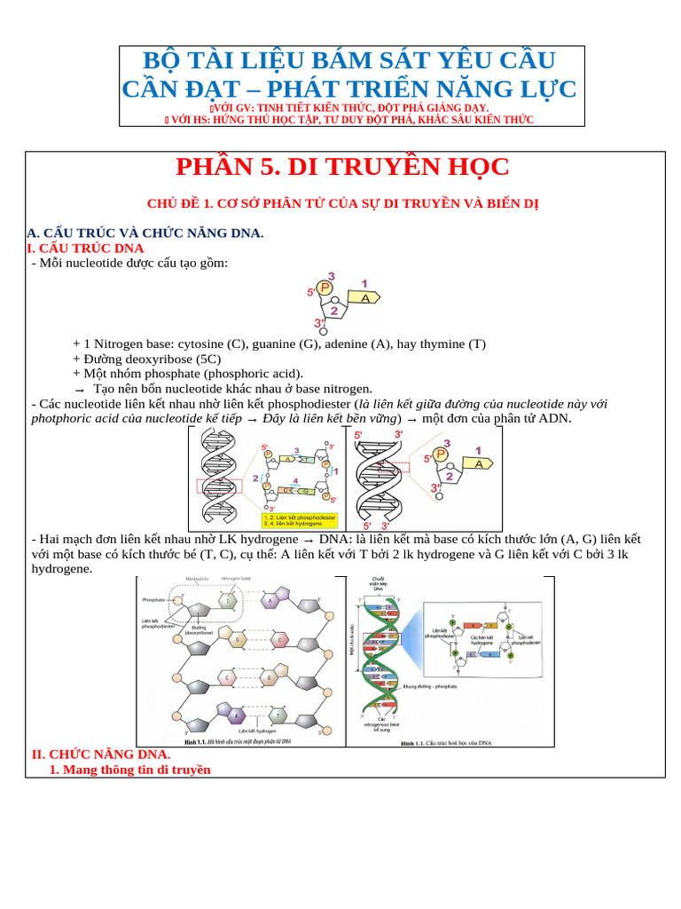 Di Truyền & Đột Biến - - p1-2 | PDF