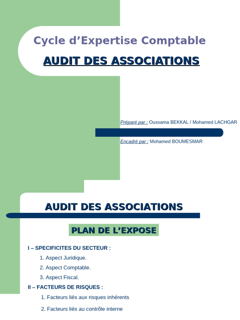 Audit Des Associations | PDF | Comptabilité | Audit