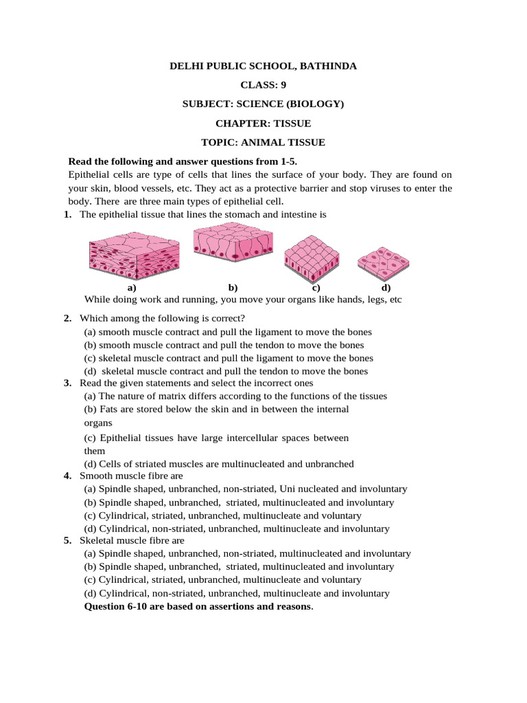 Class 9 WS Animal Tissue | PDF | Muscle | Tissue (Biology)
