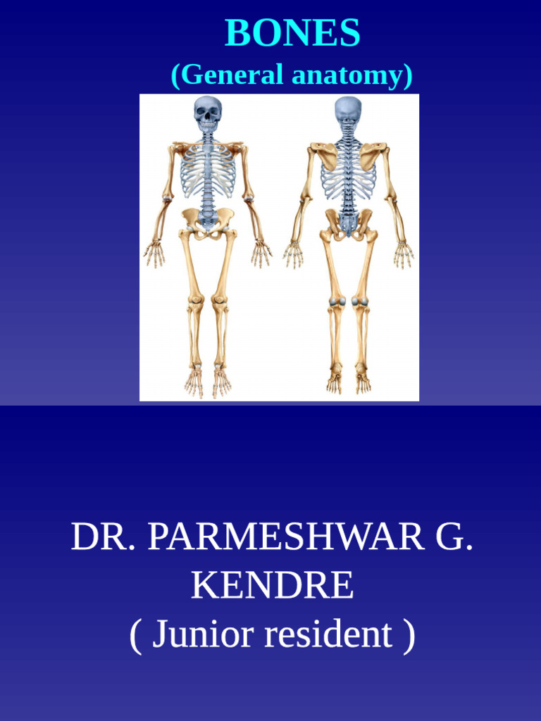 Bone (General Anatomy) Part 2 | PDF | Bone | Osteoblast