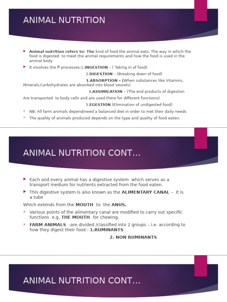 Animal Nutrition 024828 | PDF | Stomach | Digestion