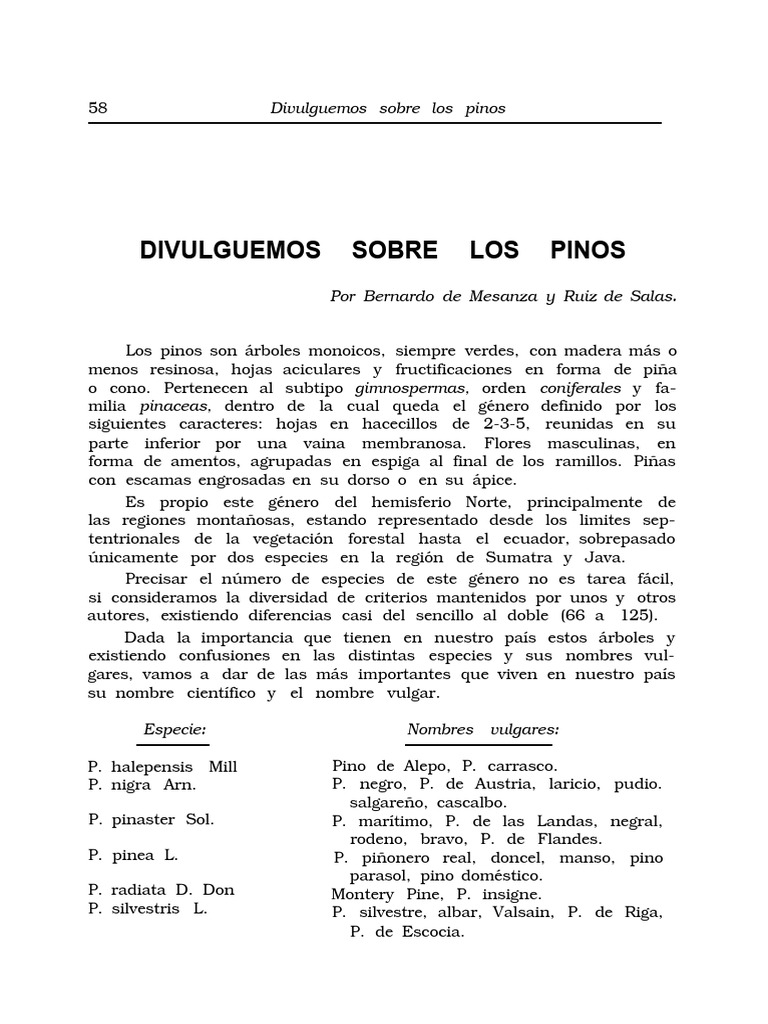 Divulguemos Sobre Los Pinos | PDF | Pino | Arboles