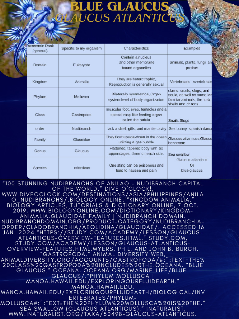 Blue Glaucus | PDF