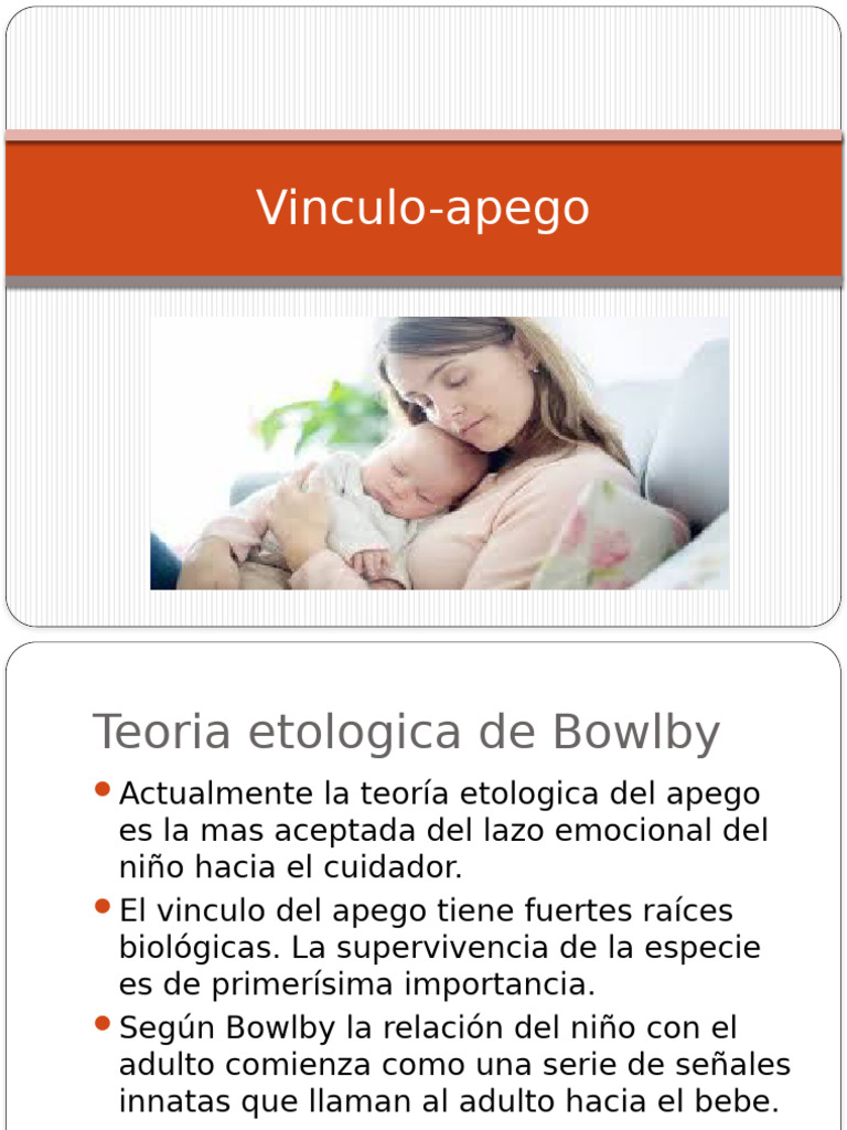 Vinculo Apego | PDF | Teoría de apego | Percepción