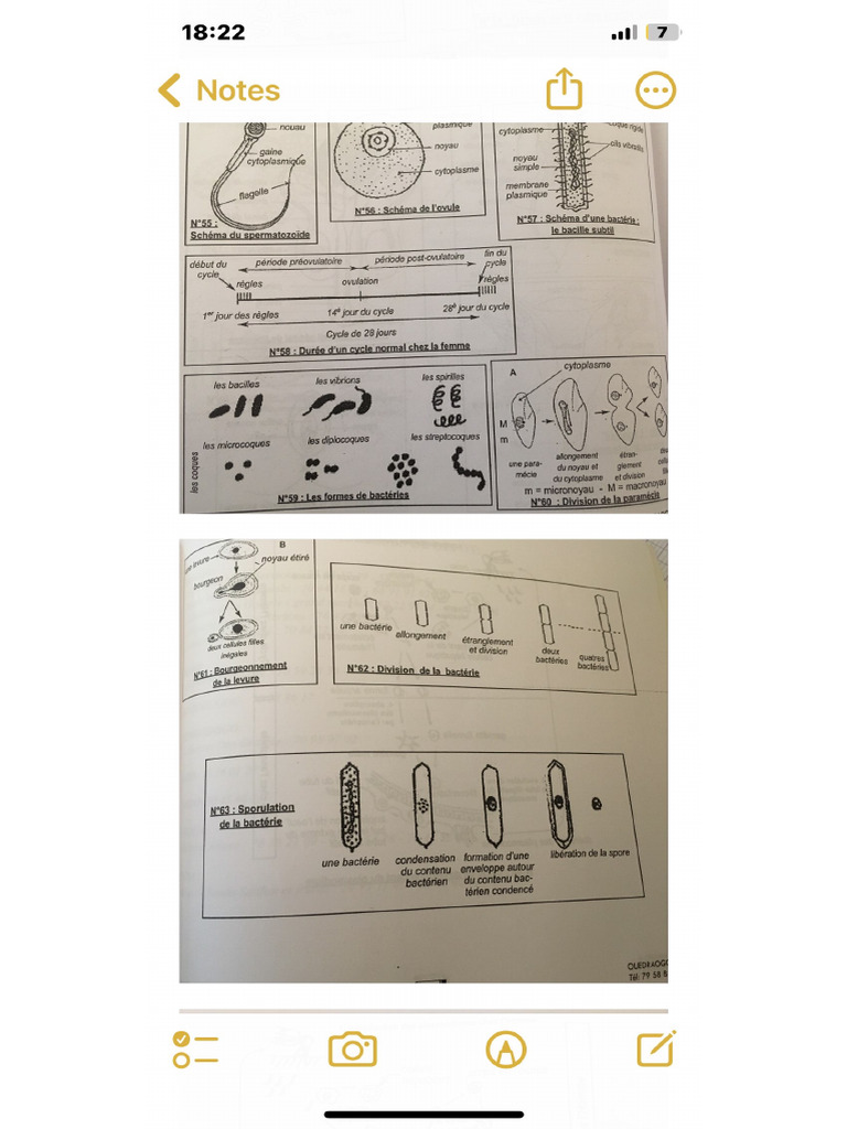 Schema SVT | PDF