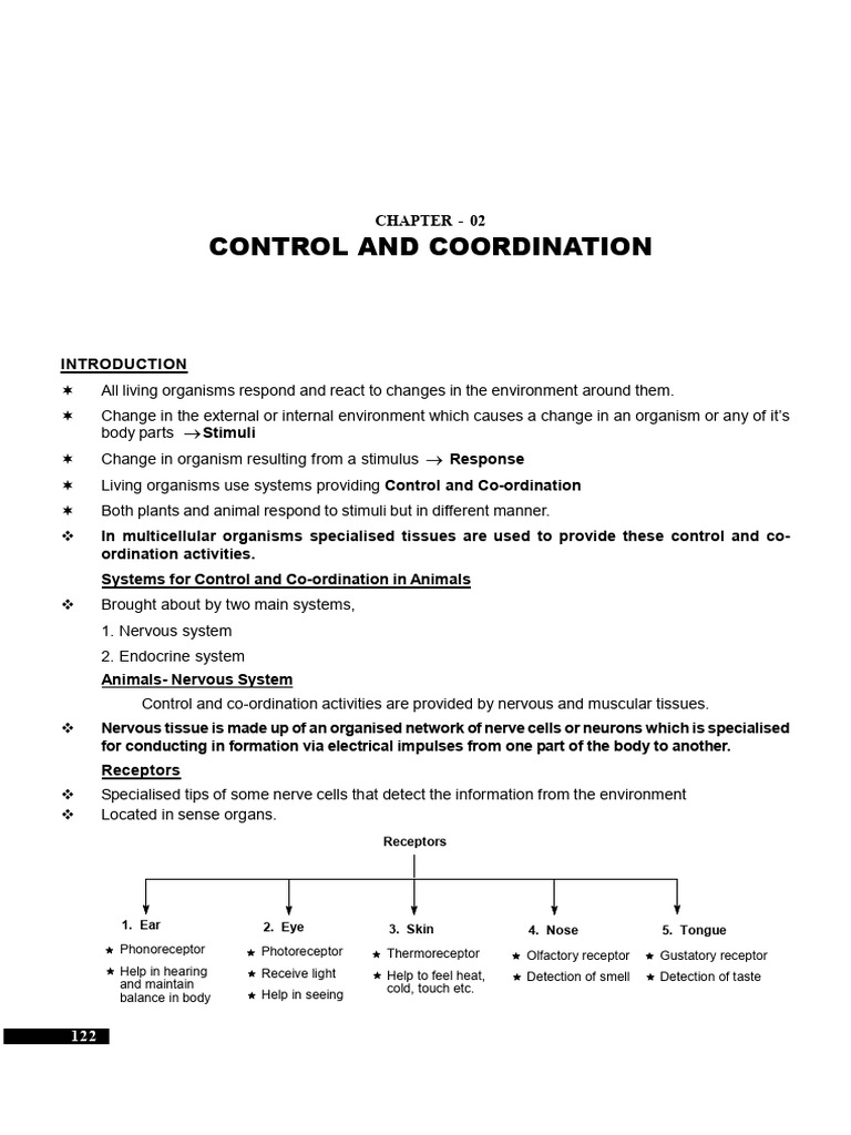 Control & Co-Ordination (CN) | PDF | Central Nervous System | Nervous ...