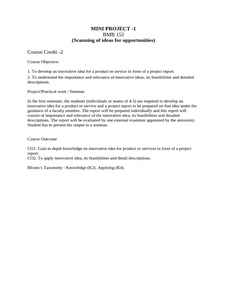 Guideline Miniproject 1 2024-25 | PDF | Art