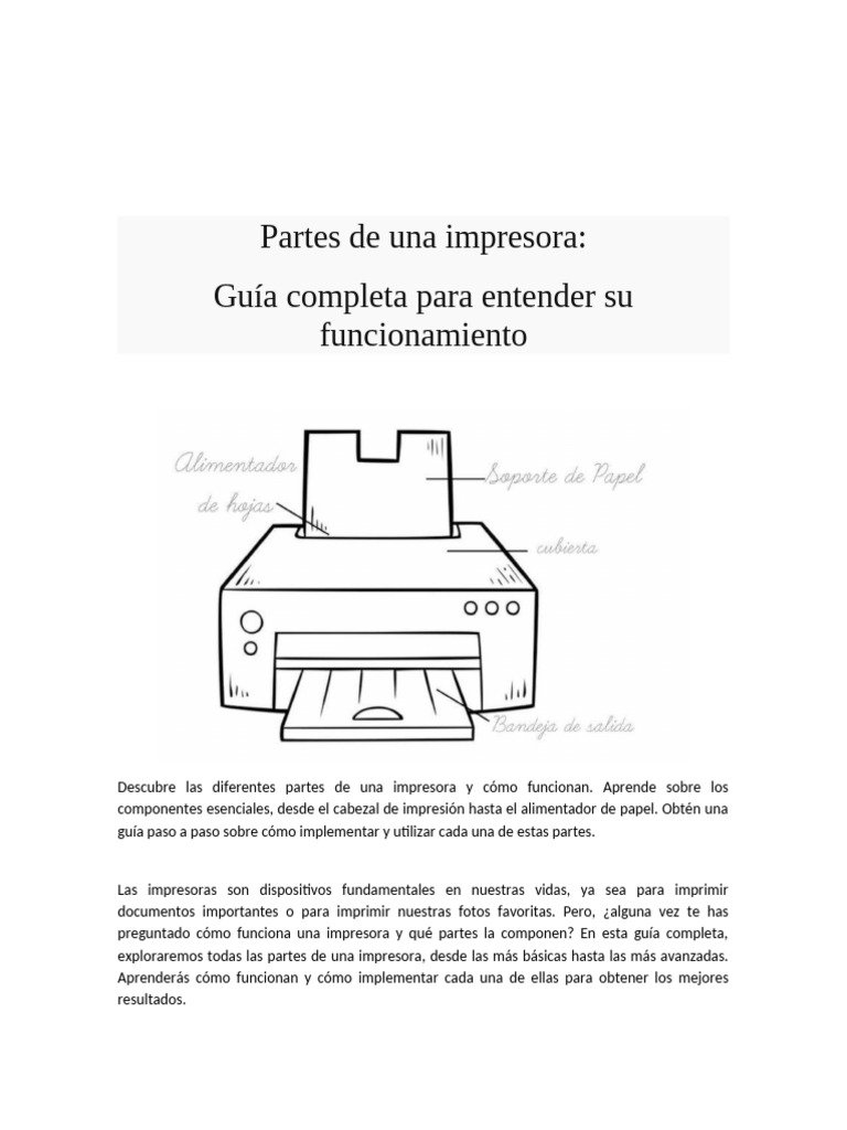 Partes esenciales de una impresora | PDF | Impresora (Computación) | Papel