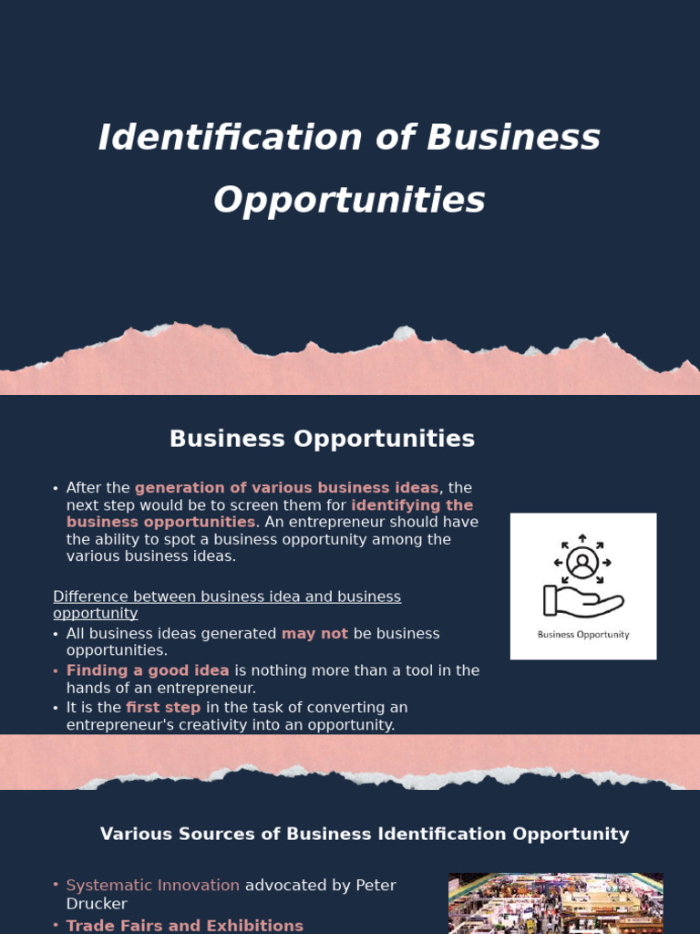 Identification of Business Opportunities | PDF | Career & Growth ...
