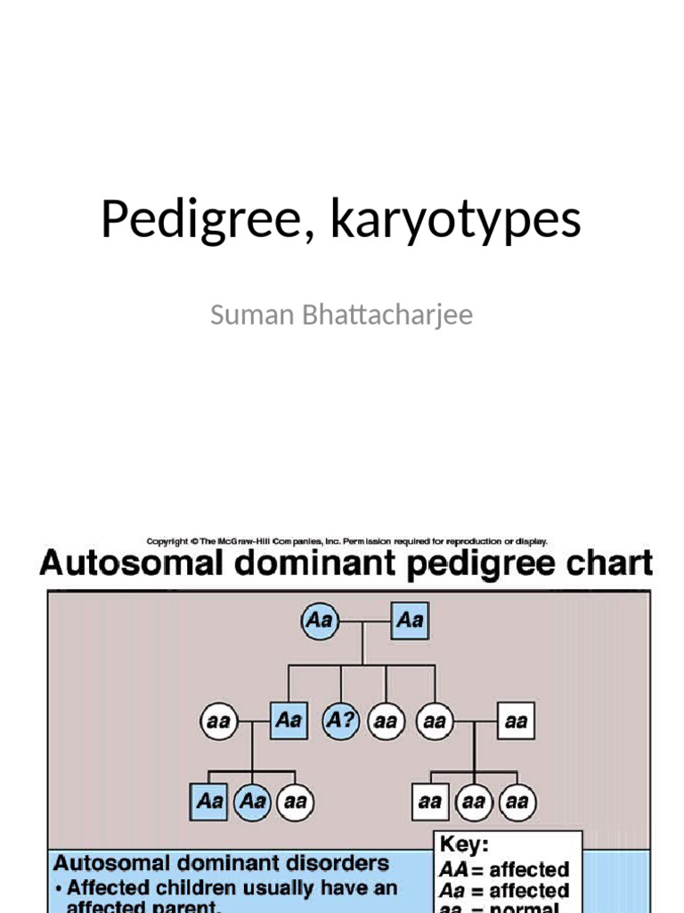 Understanding Pedigrees & Karyotypes | PDF