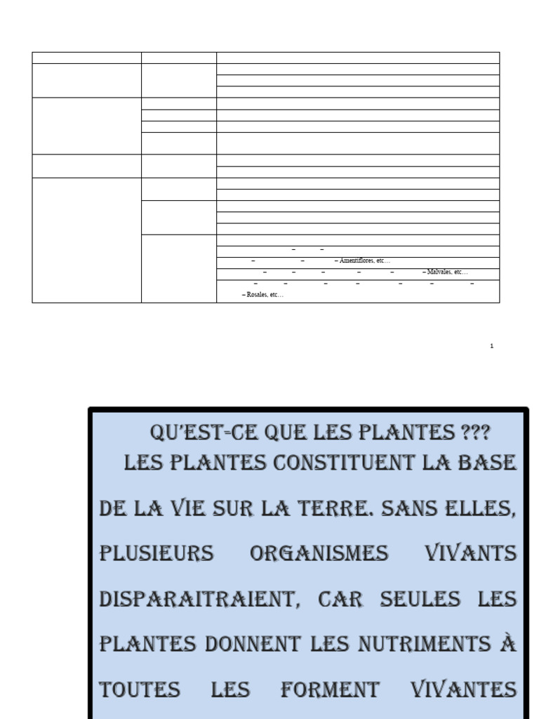 Les Groupes de Cormophytes | PDF | Feuille | Tige (Plante)