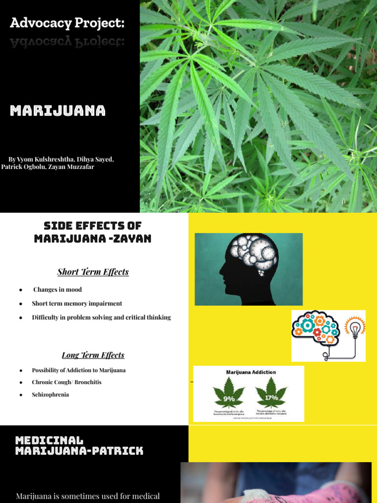 Marijuana Advoacy Project | PDF | Lifestyle