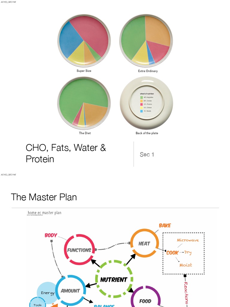 Sec 1- CHO, Fats, Proteins and Water