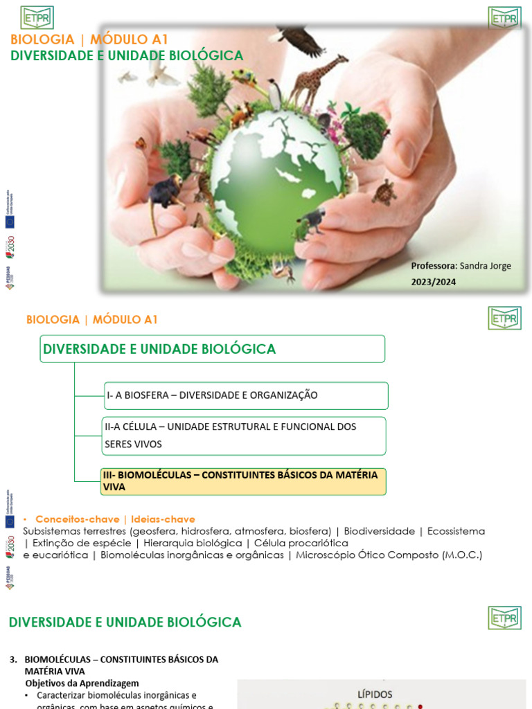 Módulo A1 As Biomoléculas 3 | PDF | Fosfolipídeo | RNA