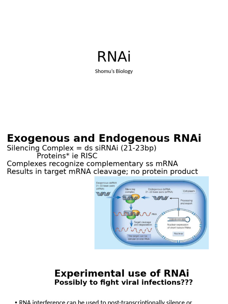 RNAi Mod 3 | PDF | Rna Interference | Small Interfering Rna