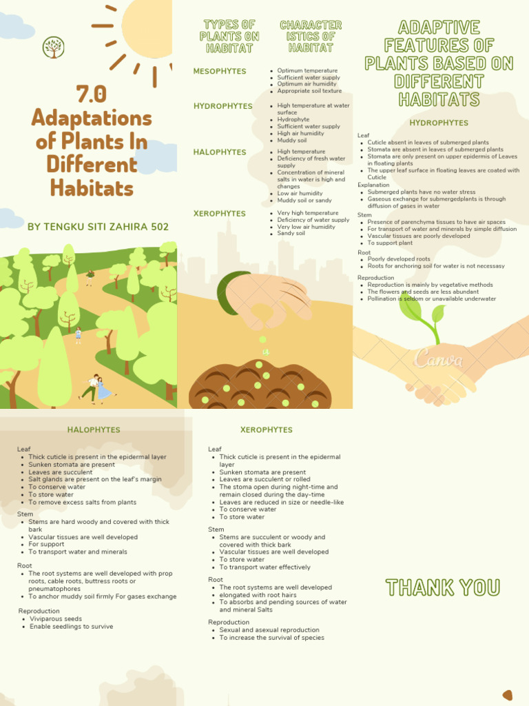 7.0 Adaptations of Plants in Different Habitats | PDF | Leaf | Stoma