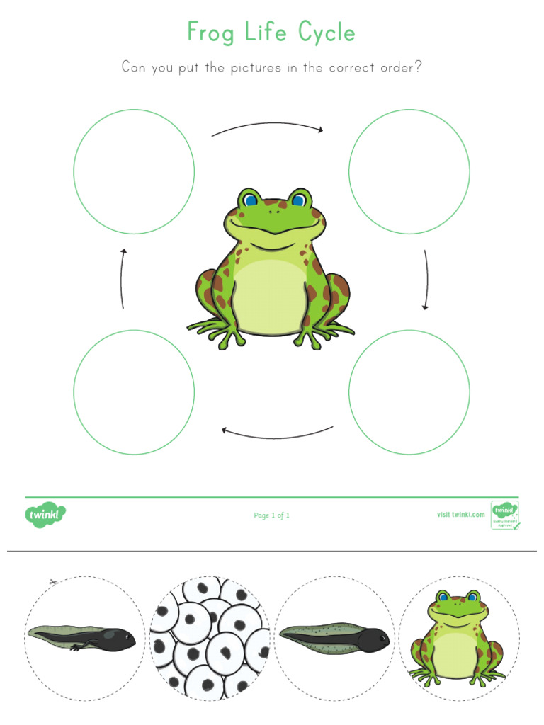 Us T 2548914 Frog Life Cycle Cut and Paste Activity - Ver - 5 | PDF