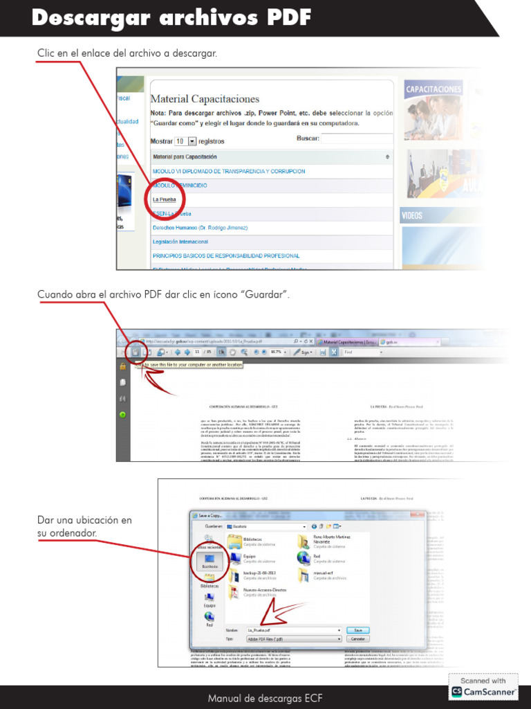 manual-descargas-ecf-2013-optimizado | PDF manual-descargas-ecf-2013-optimizado | PDF