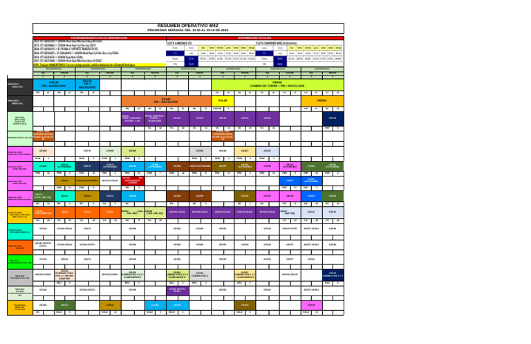 Resumen Operativo w42 - Mttomina | PDF