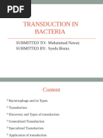 Cell Transport Concept-Map | PDF | Membrane Biology | Life Sciences