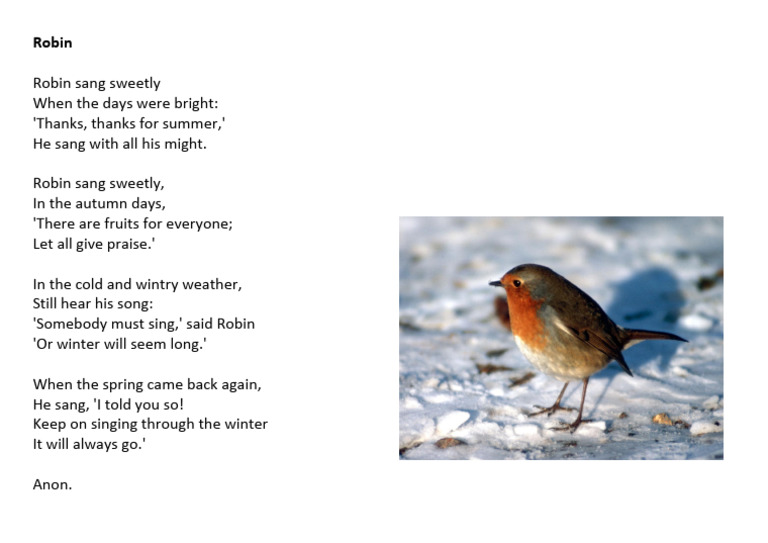 Robin Sang Sweetly | PDF | Poetry