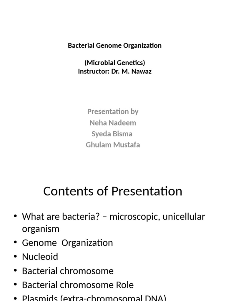Bacterial Genome Organization | PDF | Plasmid | Bacteria