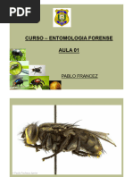 Anatomia Externa dos Insetos: Estruturas e Funções | PDF | Insetos | Mosca