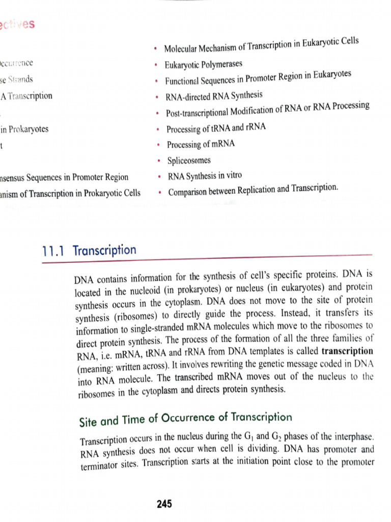 Transcription | PDF | Promoter (Genetics) | Dna