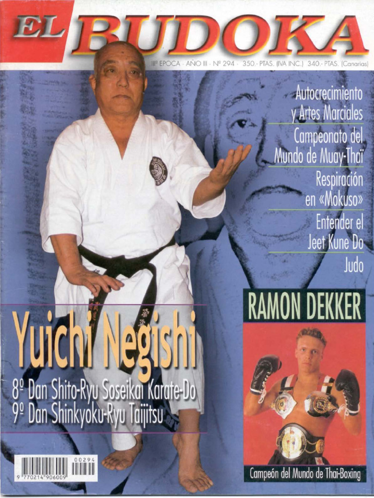 NEGISHI - Shito Ryu Soseikai | PDF | Artes marciales japonesas | Artes ...