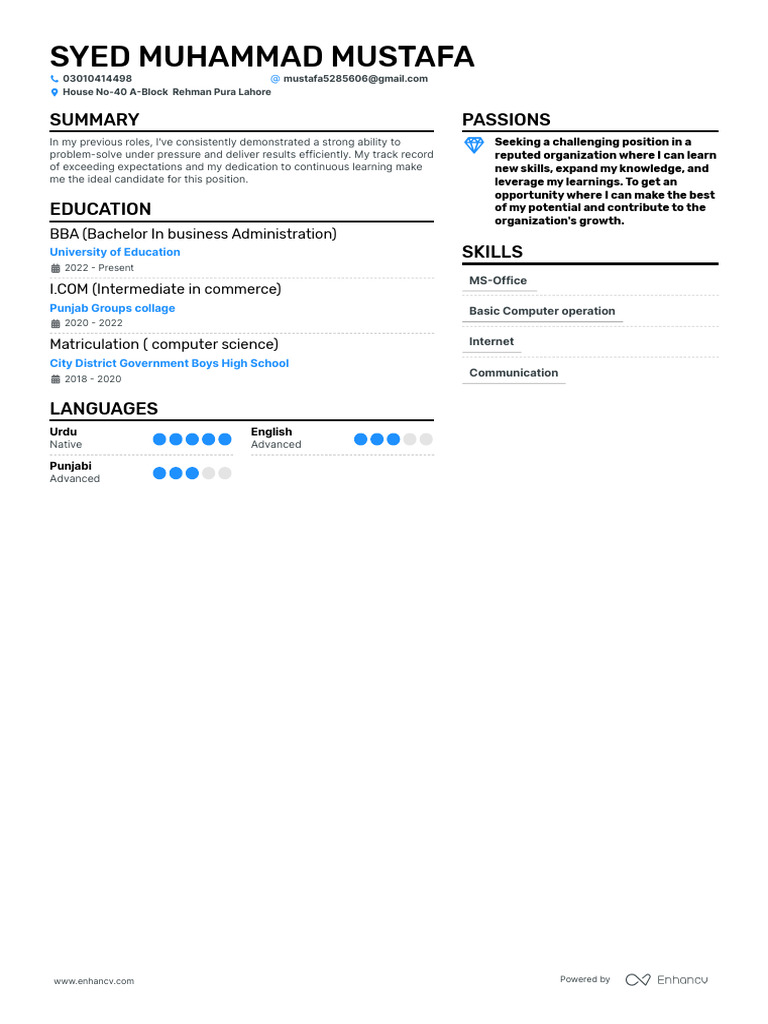 Syed Muhammad Mustafa Resume | PDF