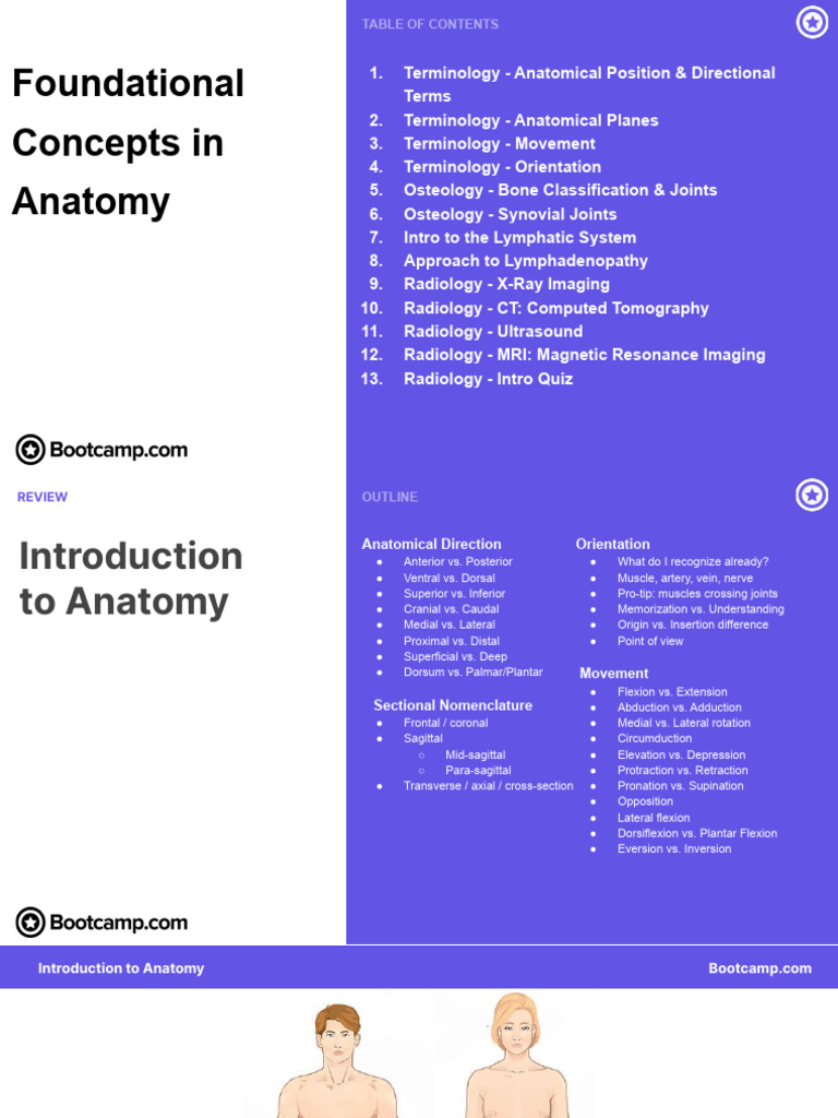 Foundational Concepts in Anatomy | PDF | Lymphatic System | Anatomical Terms Of Motion