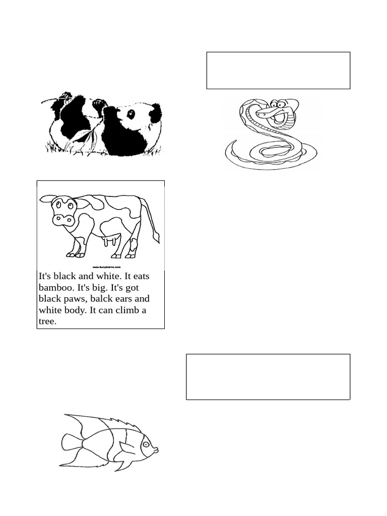 Description of Animals Word | PDF