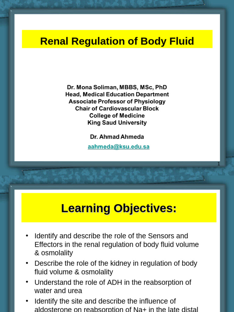 7-Body Fluids and Regulation | PDF | Angiotensin | Kidney