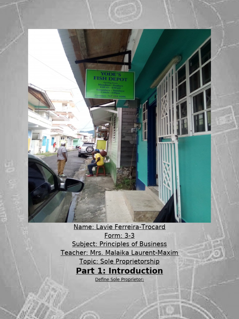 Lavie Ferriera - Trocard - Business Studies Project | PDF | Sole ...