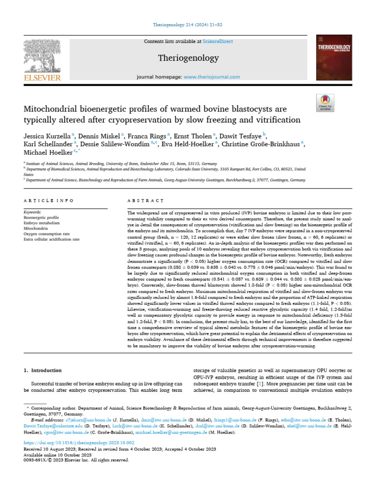 Mitochondrial Bioenergetic Profiles of Warmed Bovine Blastocysts Are ...