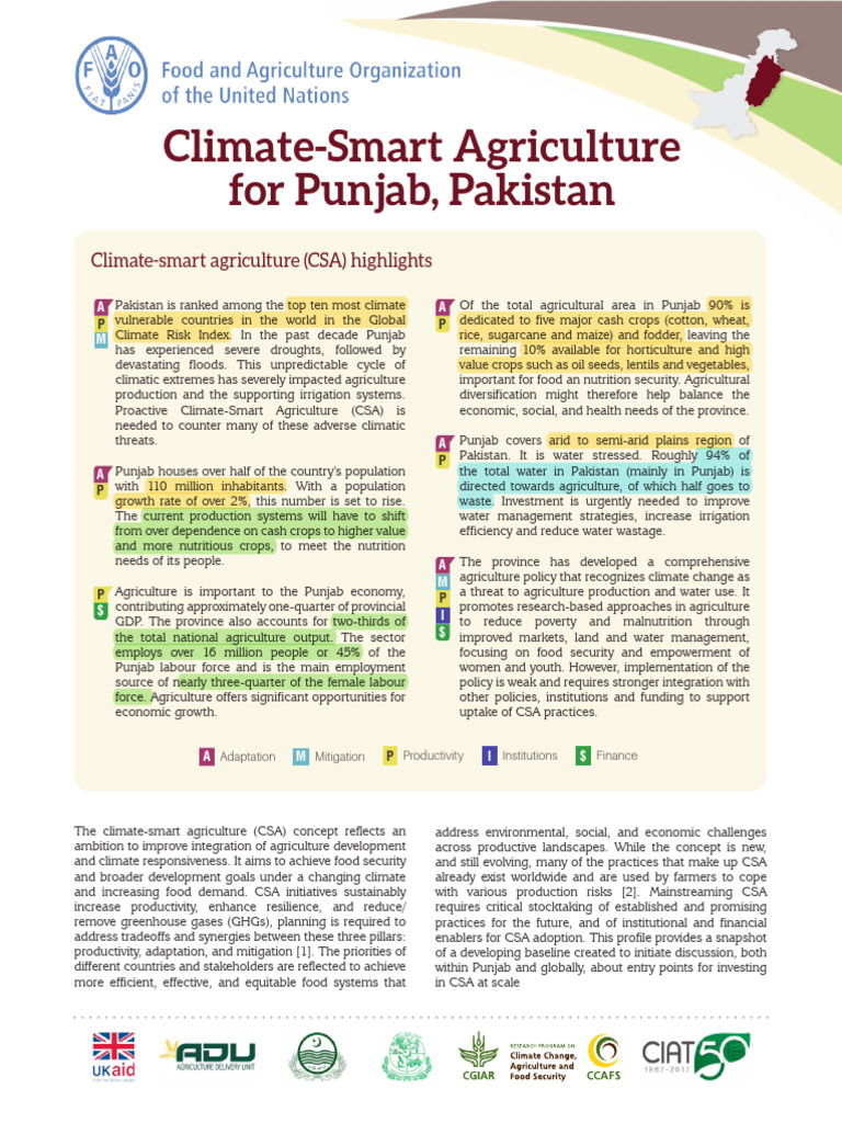 CSA - Profile - Punjab | PDF | Agriculture | Food Security