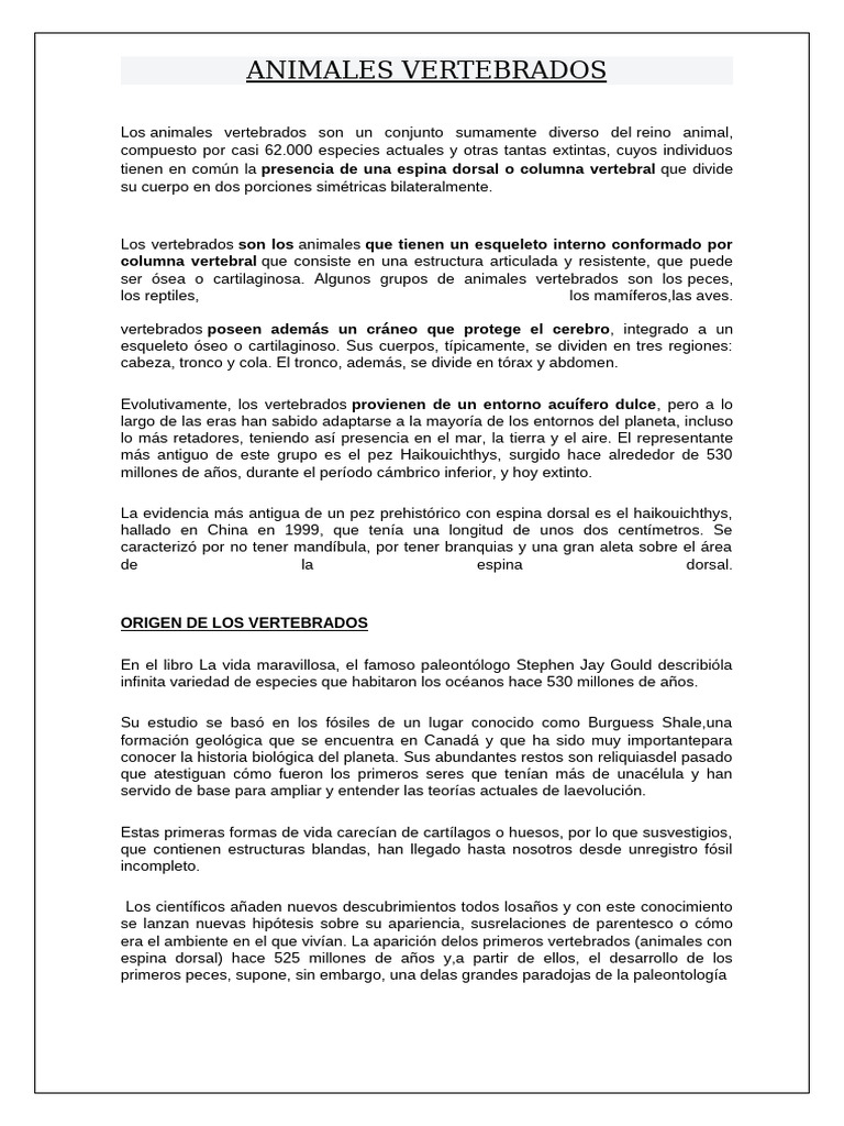 Características y Clasificación de Vertebrados | PDF | Vertebrados ...