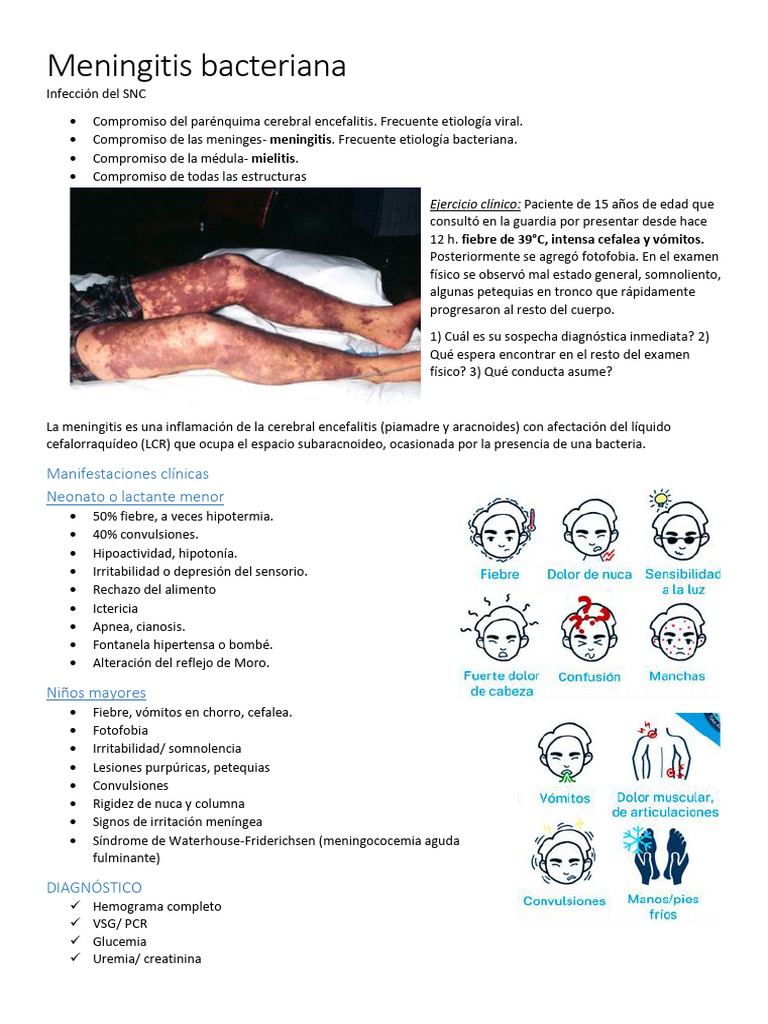 Meningitis Bacteriana | PDF | Meningitis | Medicina CLINICA