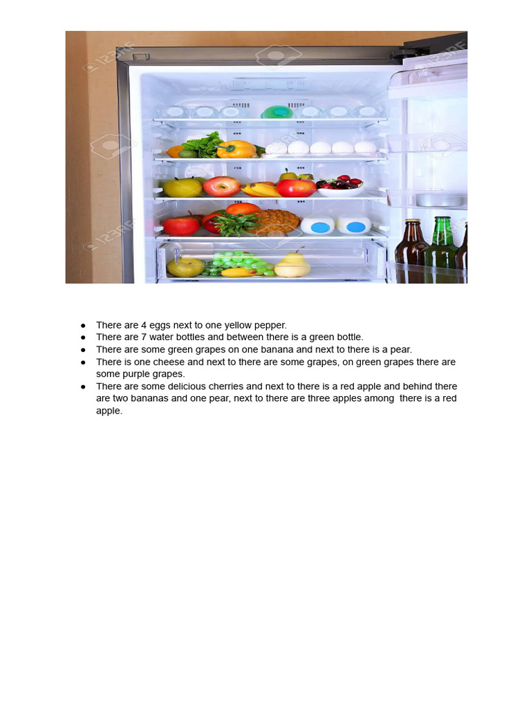 Fridge 1 | PDF